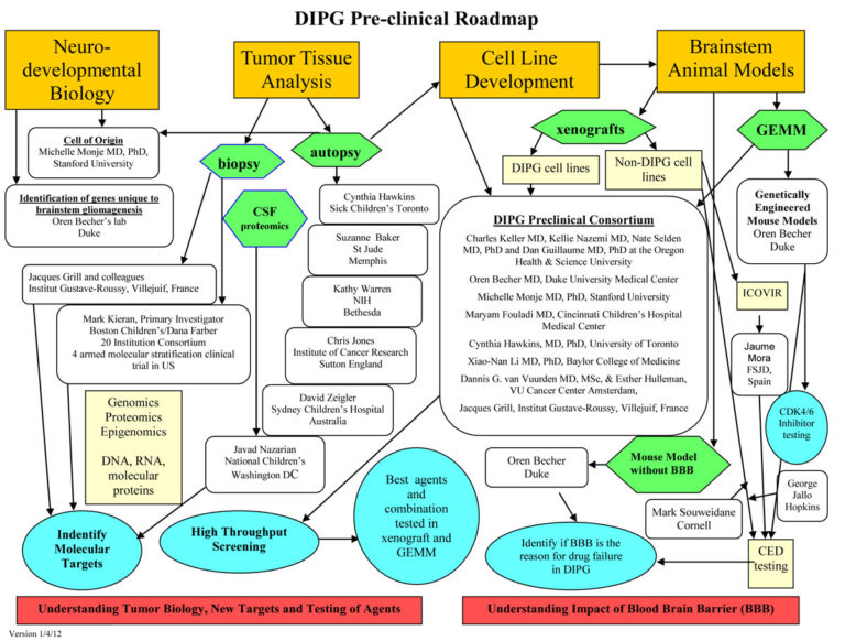 Preclinical Road Map – Cristian Rivera Foundation